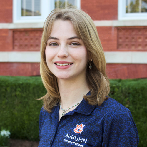 Week of Service 2024 | Honors College