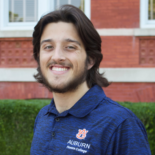 Week of Service 2024 | Honors College